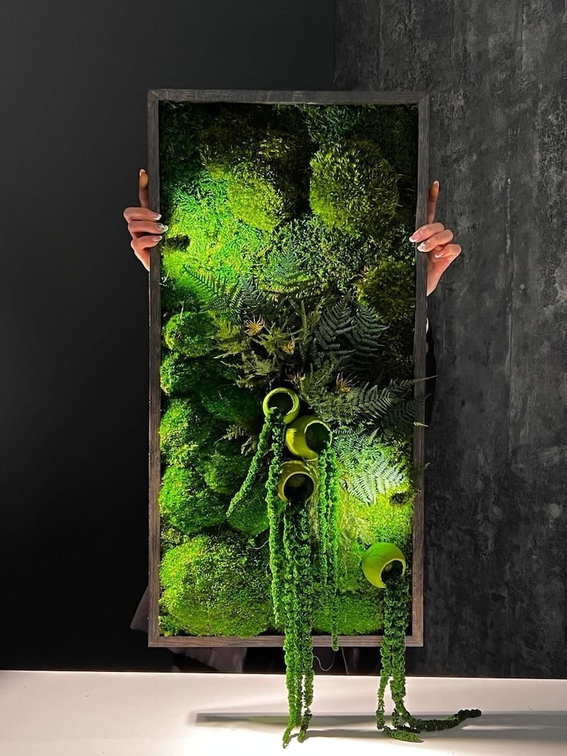 NEW!! Wall Art Preserved Moss Lighted Framed Beautiful Preserved Moss ...