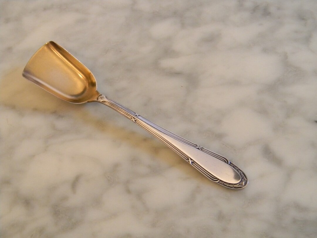 WMF Mod. 200 Sugar Shovel cross-section - Etsy