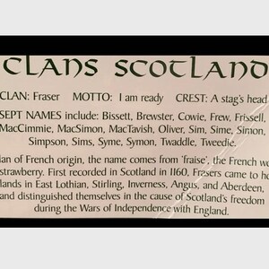 Fiona Fraser Crochet Doll - Etsy