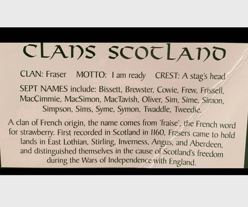 Fiona Fraser Crochet Doll - Etsy