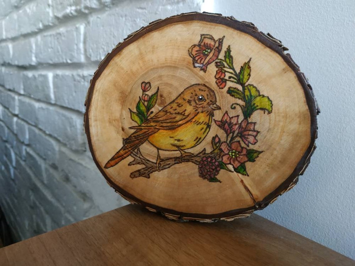 Wood Burning and Paint Bird - Etsy