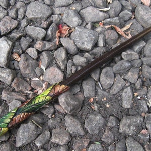 Magic Wand, Wizard Wand, Leaf Wand, Autumn Leaves, Red Wand, Green Wand ...