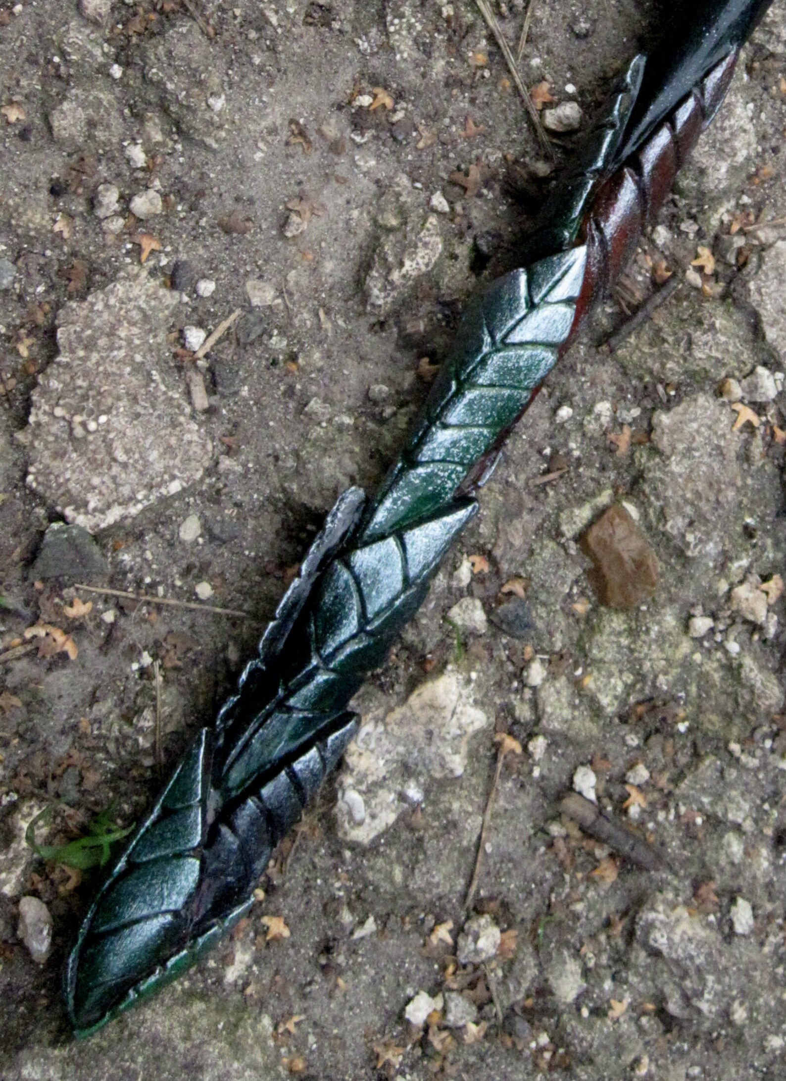Wizard Wand, Magic Wand Silver, Wizards Wand, Silver Leaf, Winter Magic ...