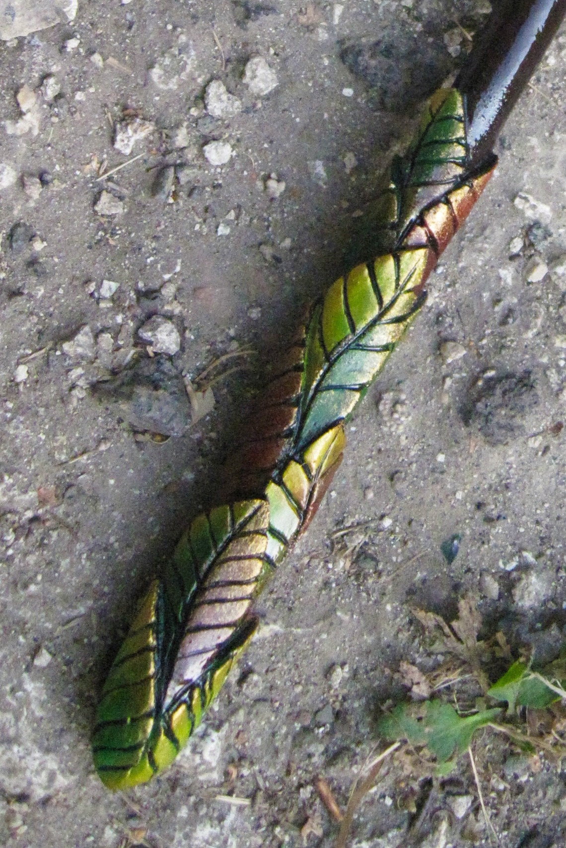 Magic Wand, Wizard Wand, Leaf Wand, Autumn Leaves, Red Wand, Green Wand ...