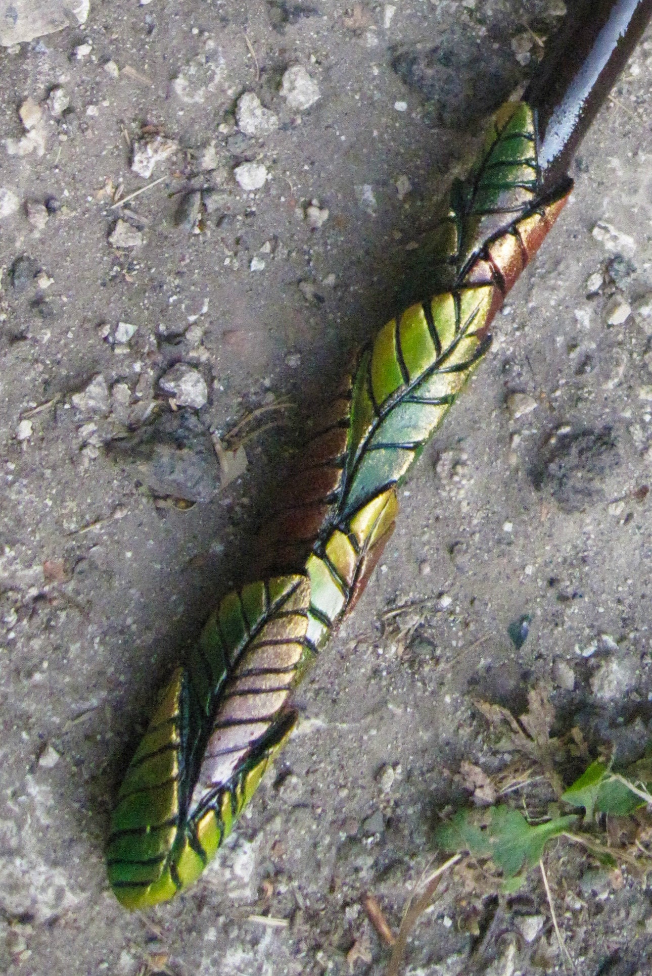 Magic Wand, Wizard Wand, Leaf Wand, Autumn Leaves, Red Wand, Green Wand ...