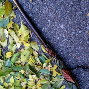 Magic Wand, Wizard Wand, Leaf Wand, Autumn Leaves, Red Wand - Etsy