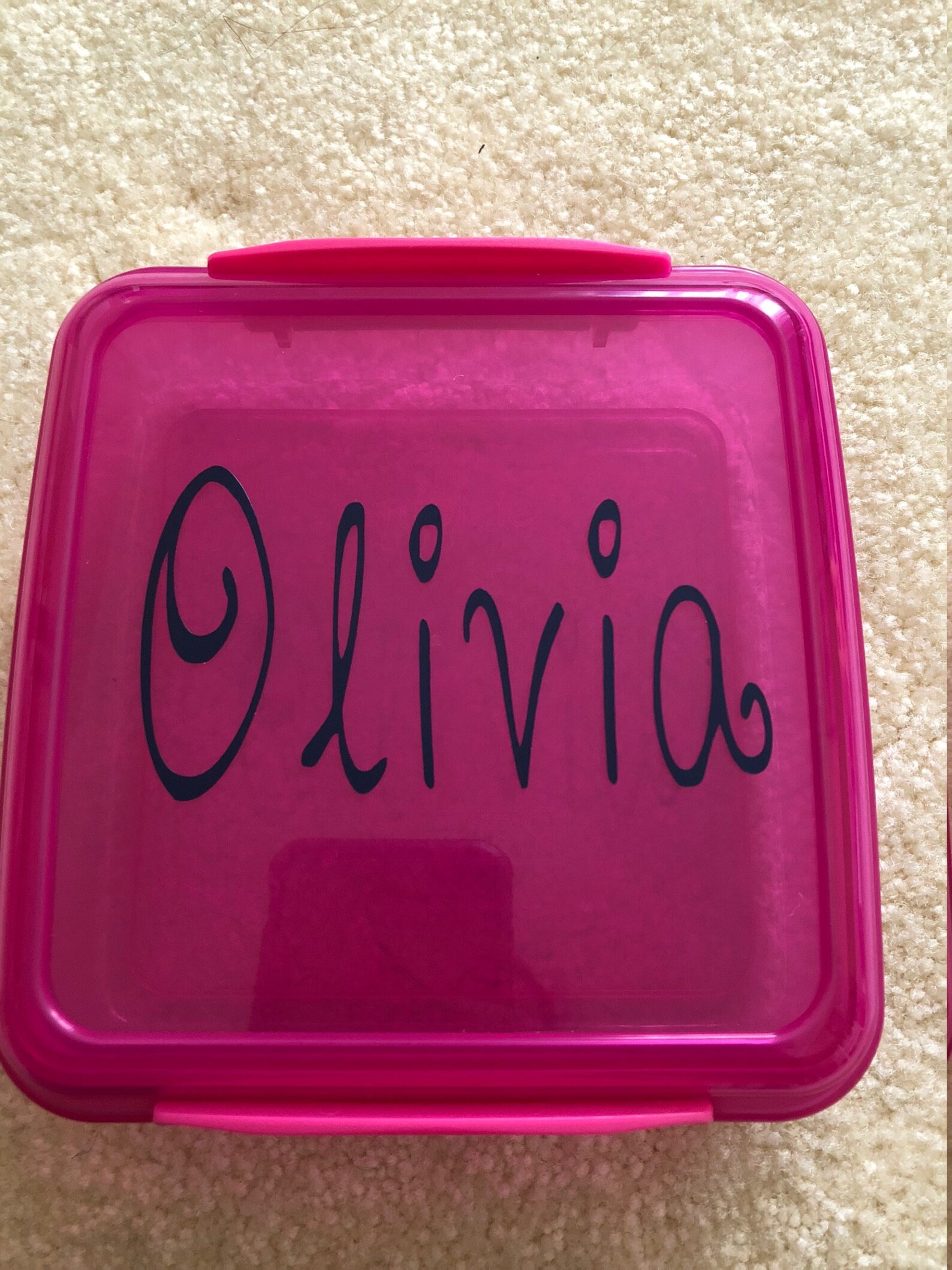 Personalized Sandwich or Snack Box - Etsy New Zealand