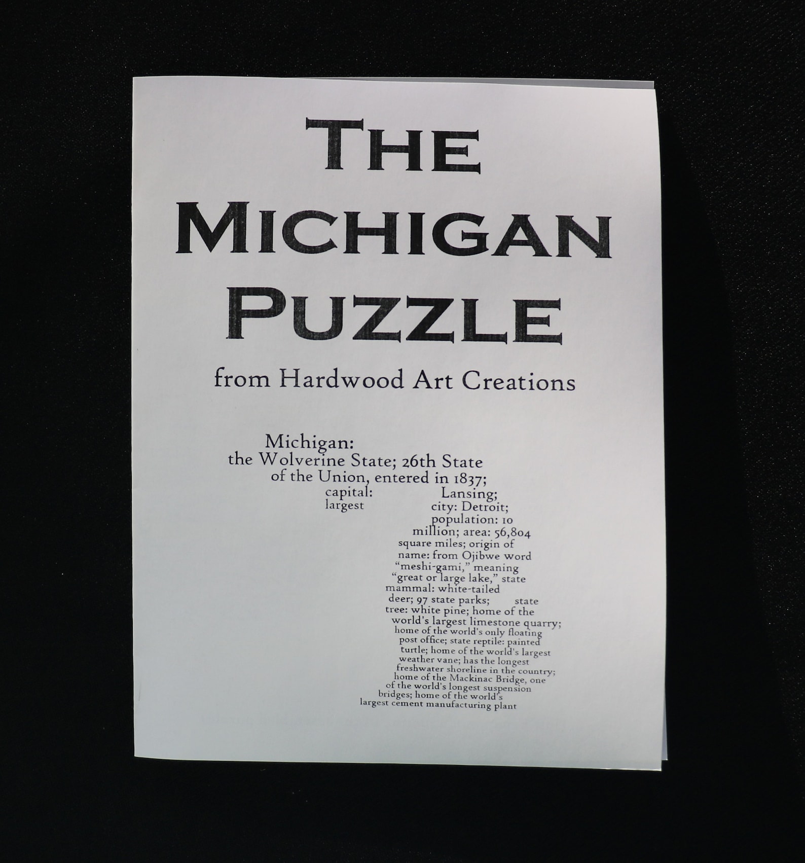 The Michigan Puzzle - Etsy