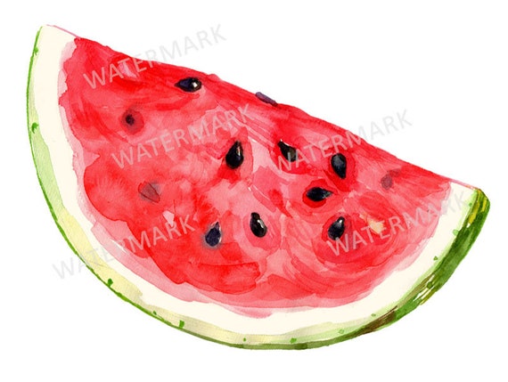 Watermelon Clipart Watercolor Watermelon Illustration - Etsy