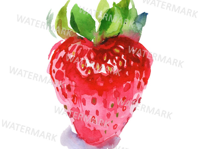 Strawberry Clipart, Watercolor Strawberry Illustration, Digital, Png ...