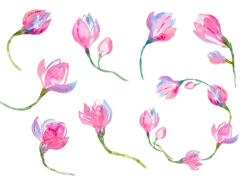 Flower Watercolor Clipart Floral Clipart Watercolor Magnolia - Etsy