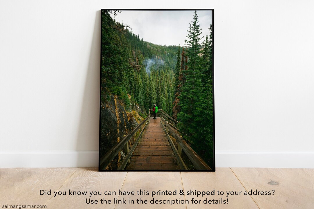 Banff National Park Print: Green Forest Trail, Canadian Rockies ...