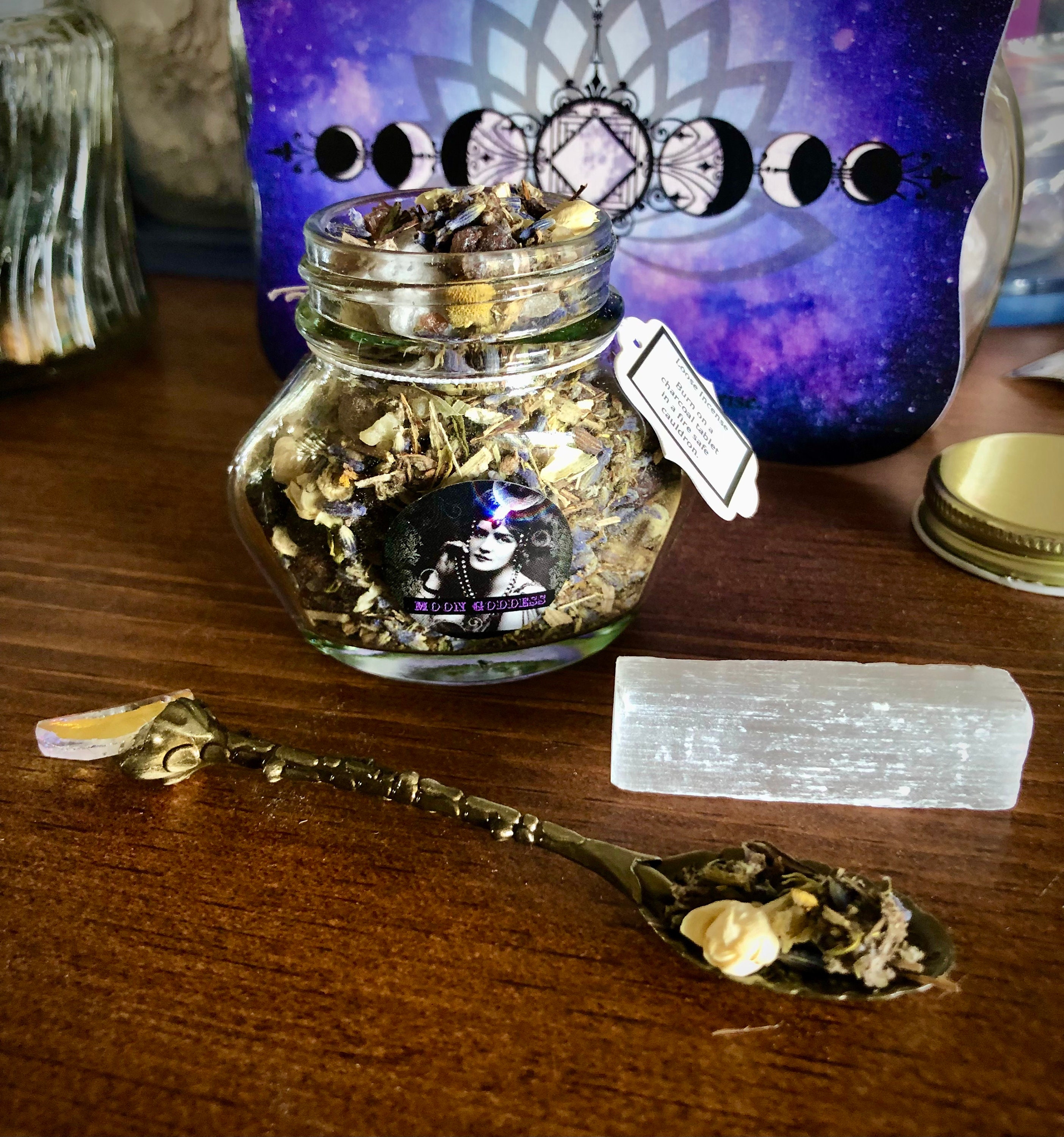 Rose of Jericho Plant — Forest & Folklore