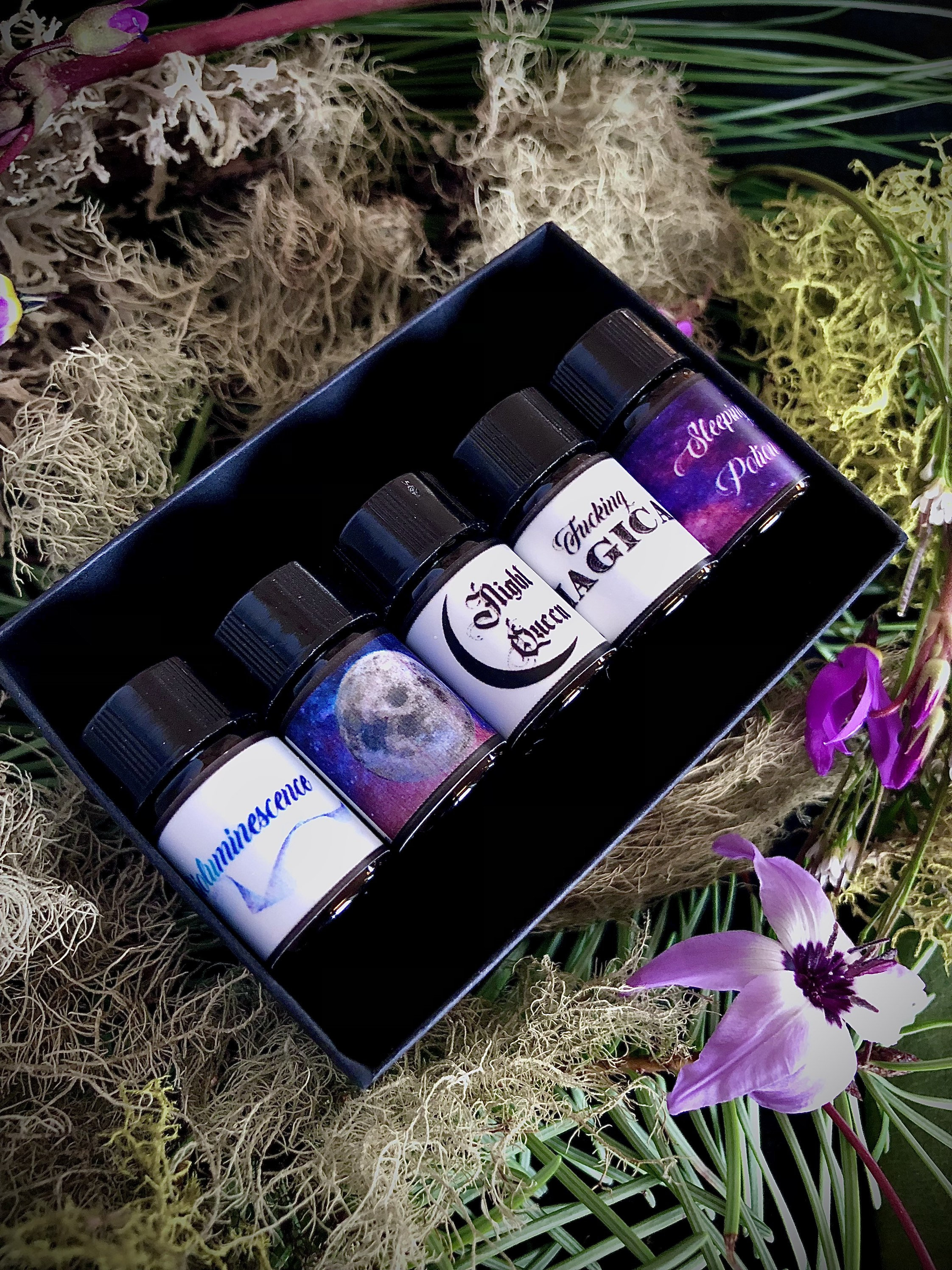 Wild Woods Collection Essential Oil Sampler — Forest & Folklore