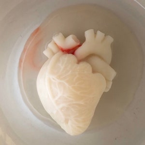 Bleeding Anatomical Heart Large Wax Melt, Gift for Nurse, Doctor ...