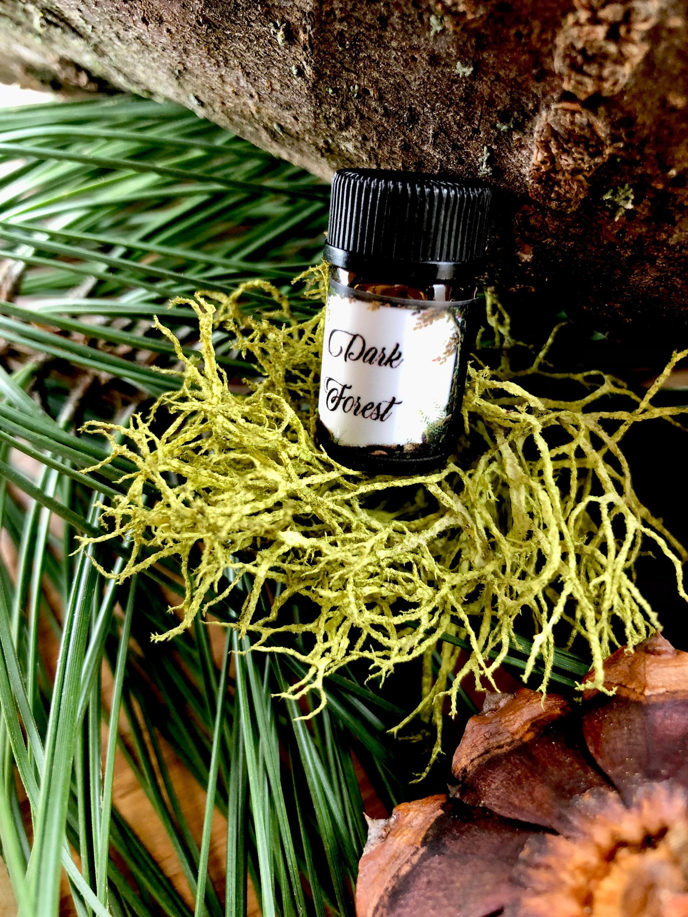 Dark Forest Essential Oil Perfume — Forest & Folklore