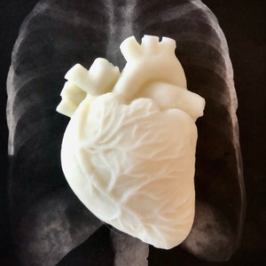Bleeding Anatomical Heart Large Wax Melt, Gift for Nurse, Doctor ...