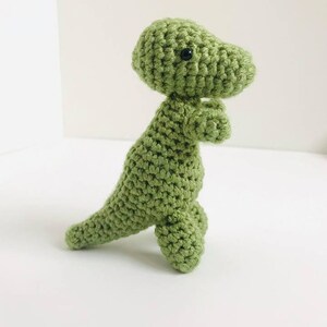 PATTERN Hatching Dinosaur T-rex Egg - Etsy