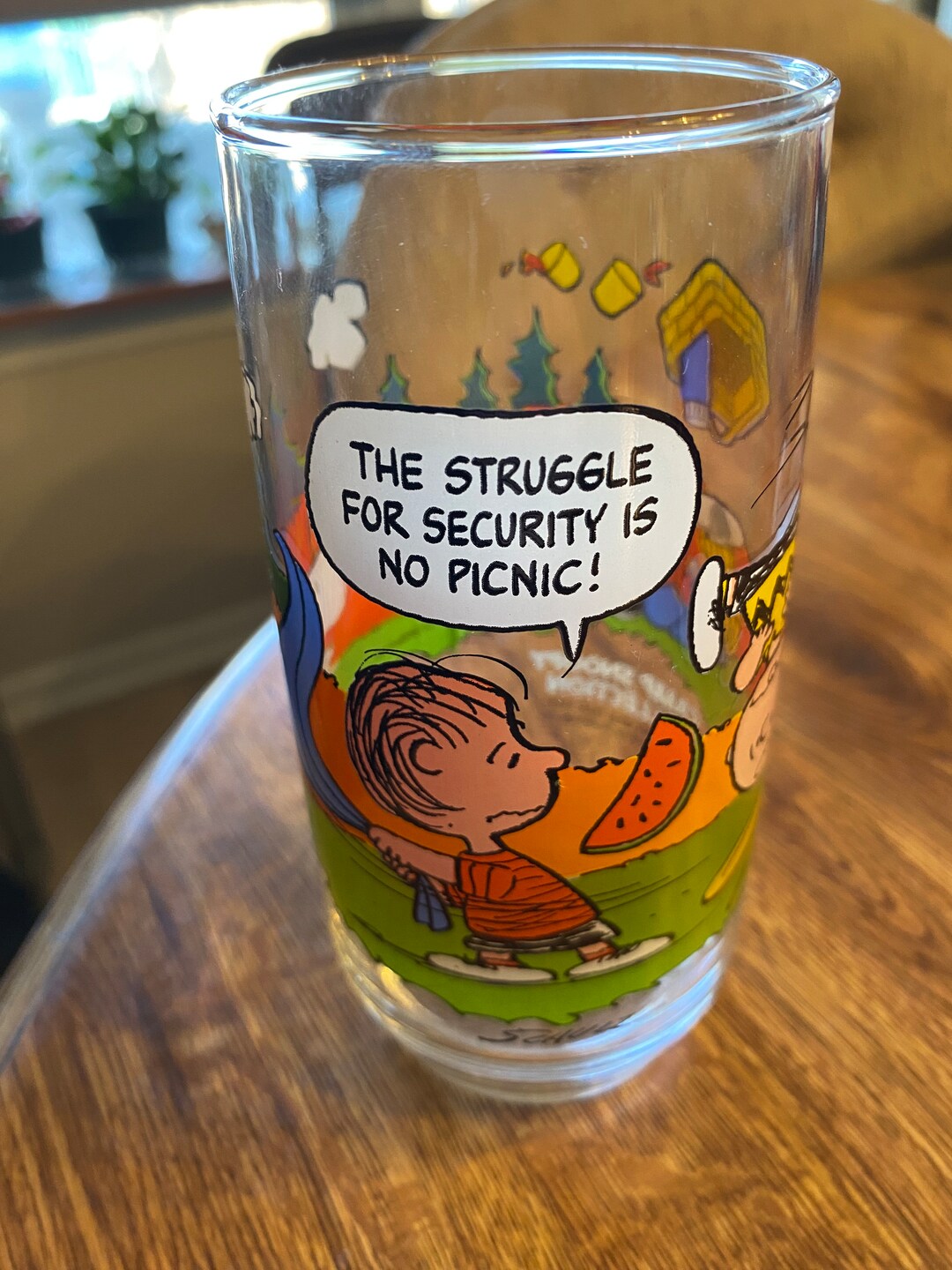 Vintage 1980s Mcdonalds Camp Snoopy Collection Collectible Glass “the ...
