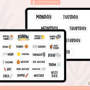 Weather Digital Stickers for Goodnotes Planner, Goodnotes Stickers, Pre ...