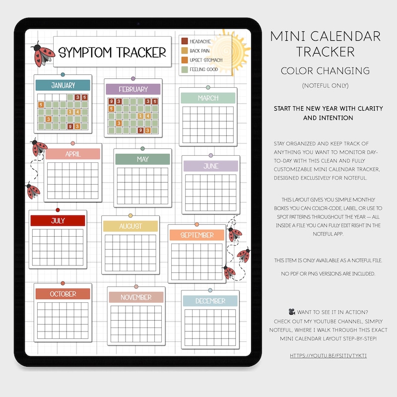 Eva 2024 25 Standings - Etsy Australia