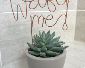 Water Me Plant Sign - Etsy UK