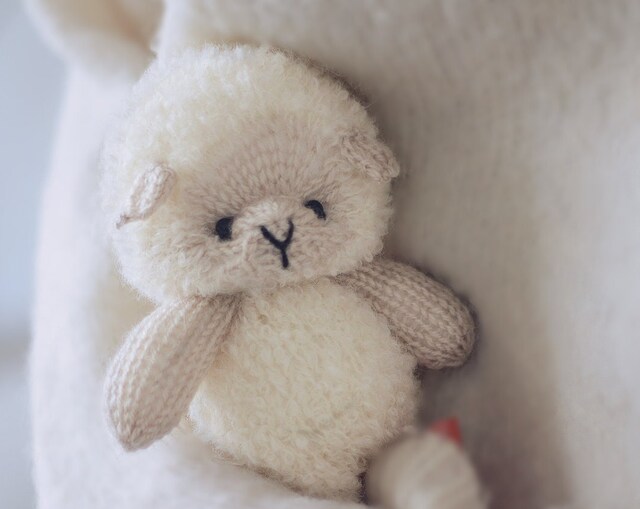 GrayBearAkswokrat - Etsy Canada