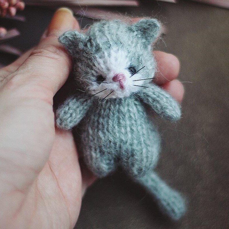 Cat Knitting Pattern - Etsy