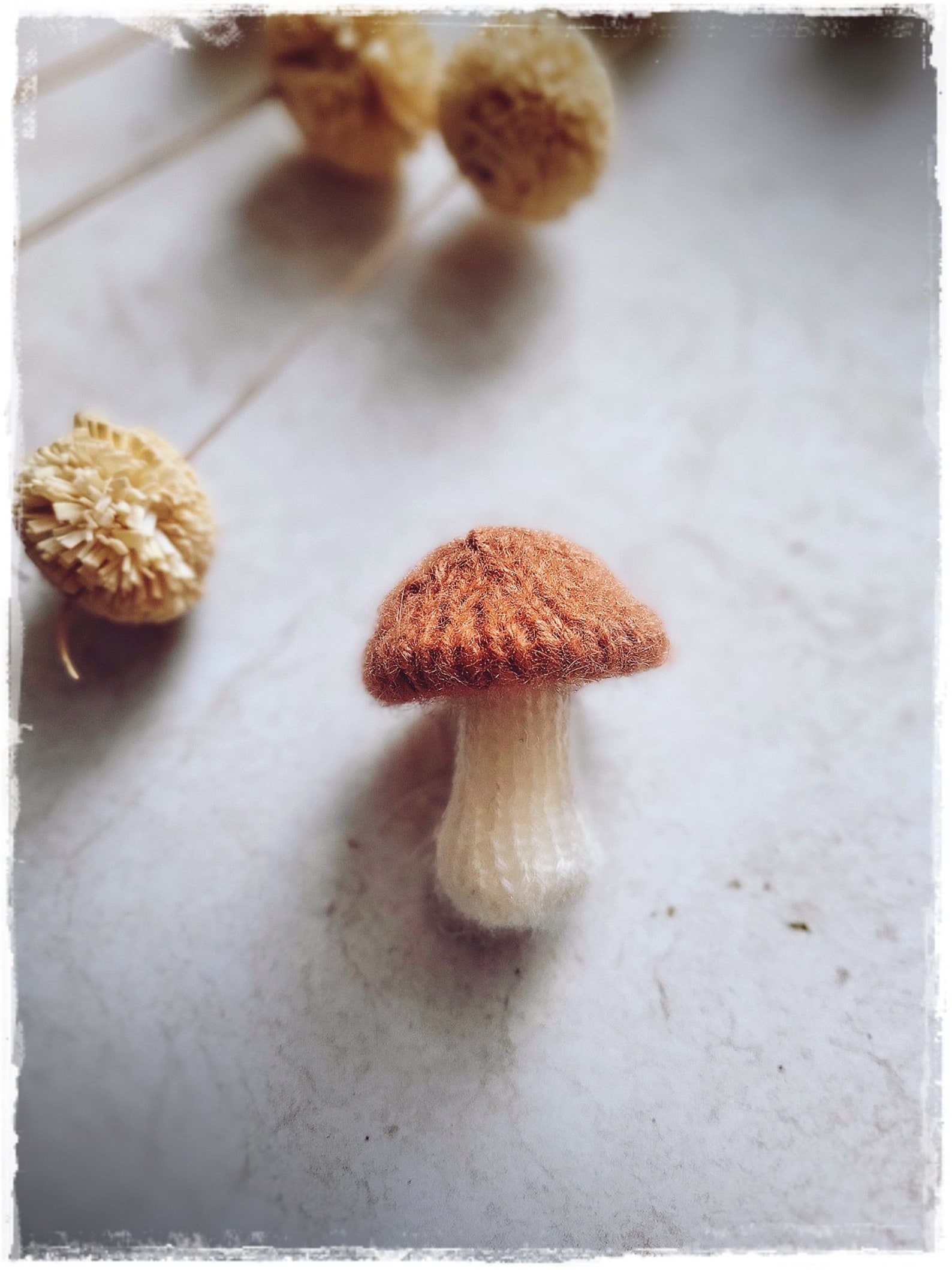 Small Knitting Mushroom, KNITTING PATTERN Pdf - Etsy