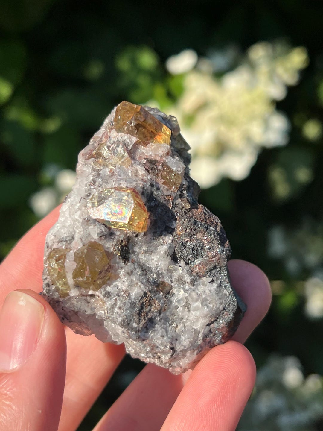 Golden Apatite Crystals in Matrix: Durango Mexico - Etsy
