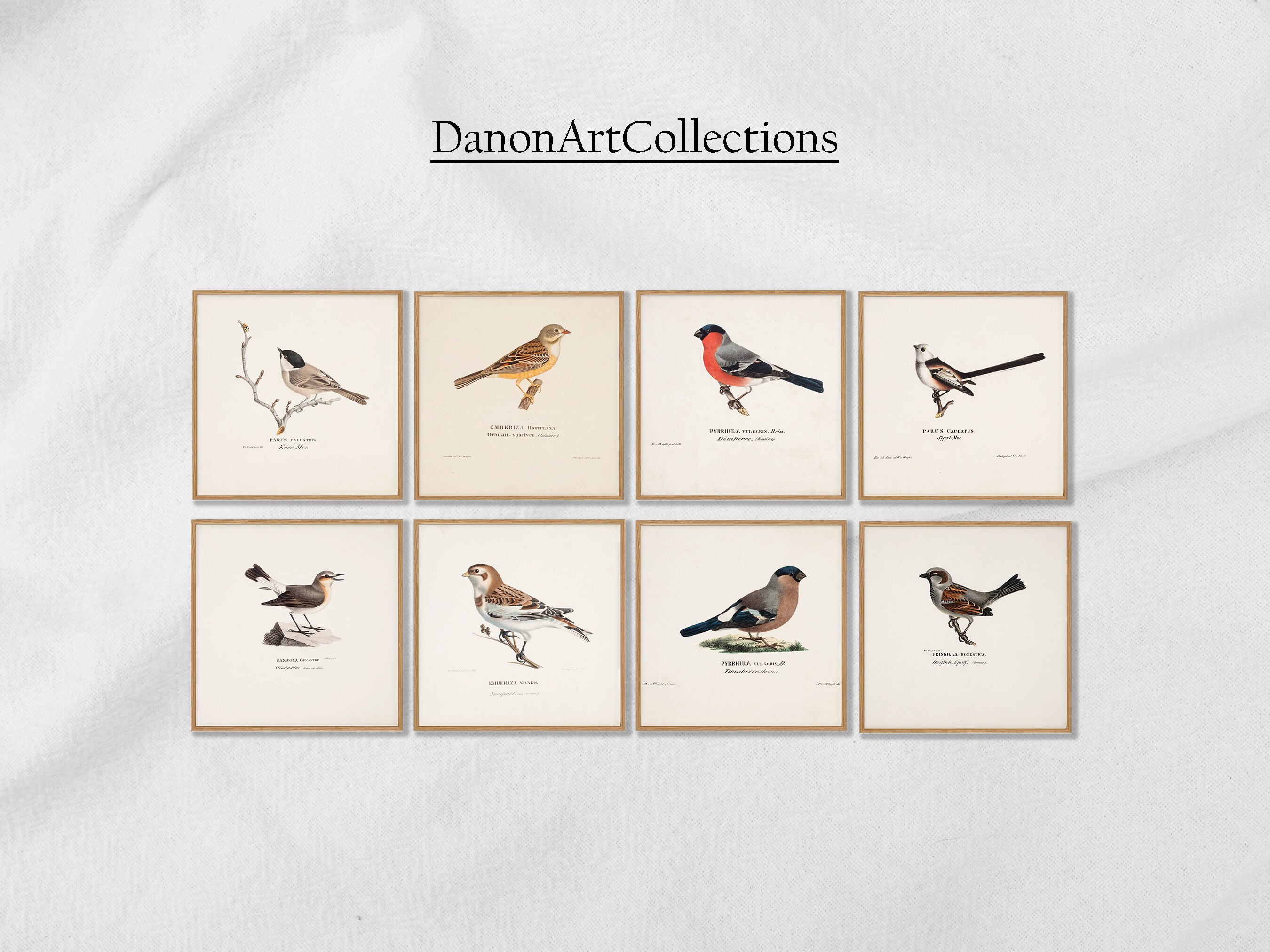 Vintage Birds Set of 8 Prints, Colorful Vintage Wall Set, DIGITAL ...