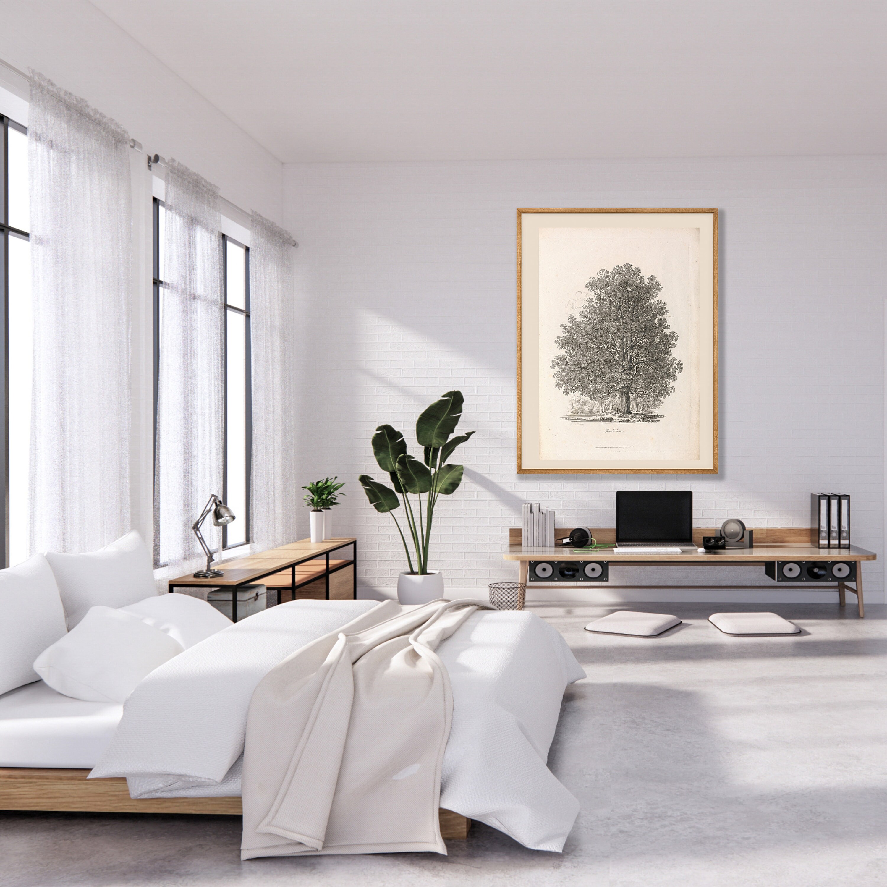 Chestnut Tree Vintage Chestnut Tree Drawing Print, Botanical Sketch ...