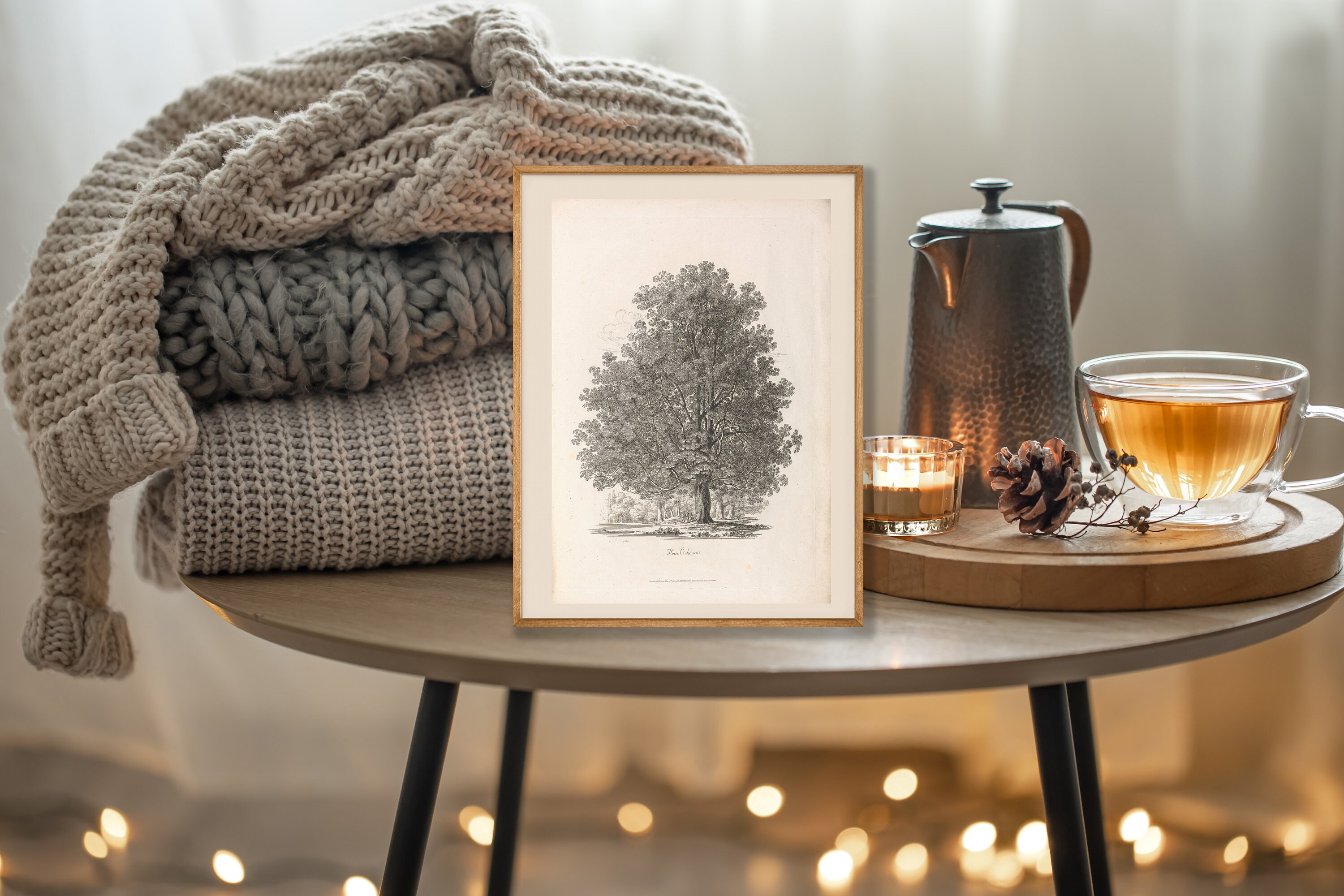 Chestnut Tree Vintage Chestnut Tree Drawing Print, Botanical Sketch ...