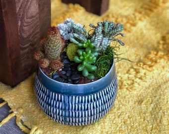 Cactus pottery | Etsy