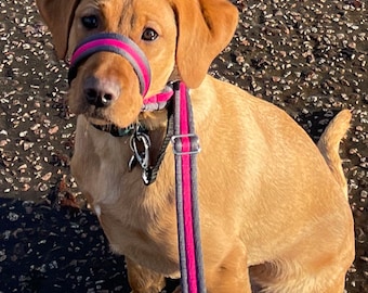 Figure of 8 Dog Lead - Etsy UK