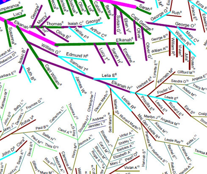 Sears Family Tree - Digital Download Files - Etsy
