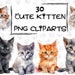30 Watercolor Cute Kitten Pack, Baby Cat Clipart, Clipart for ...