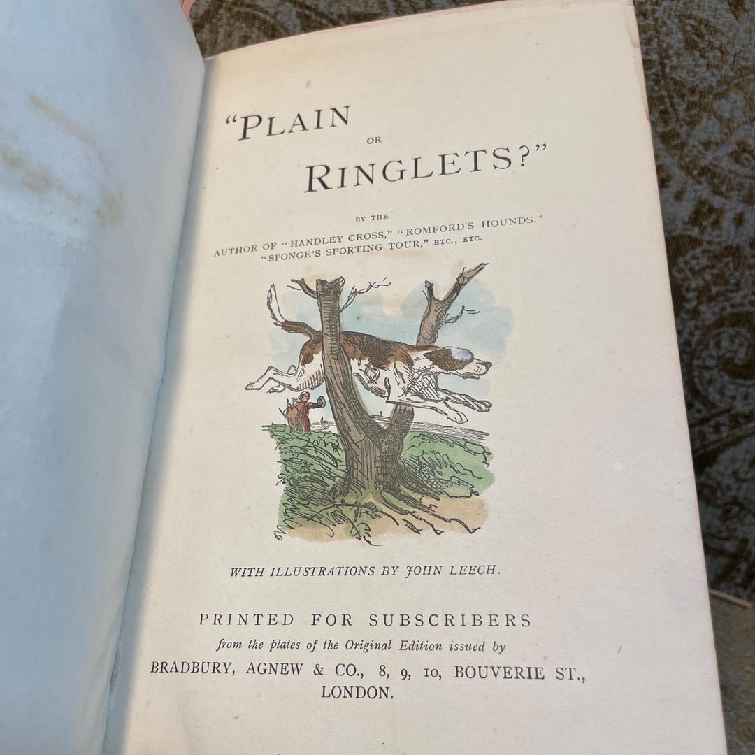 Plain or Ringlets? by R S Surtees With Illustrations by John Leech - Etsy