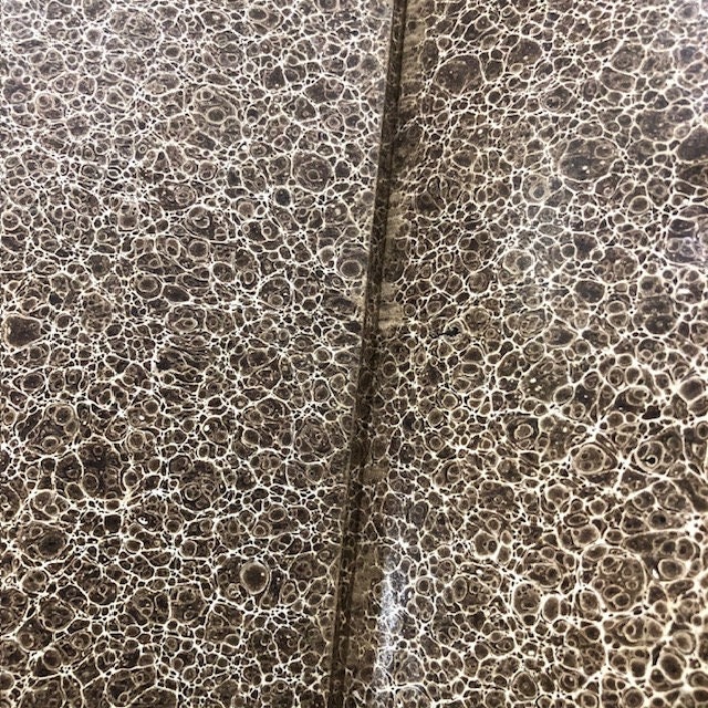 1828. Historical Calendar. Universal Ephemerides Religious - Etsy