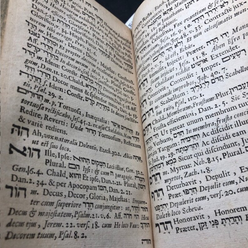 1710. Hebrew Lexicon. Johannis Buxtorf's Lexicon & - Etsy