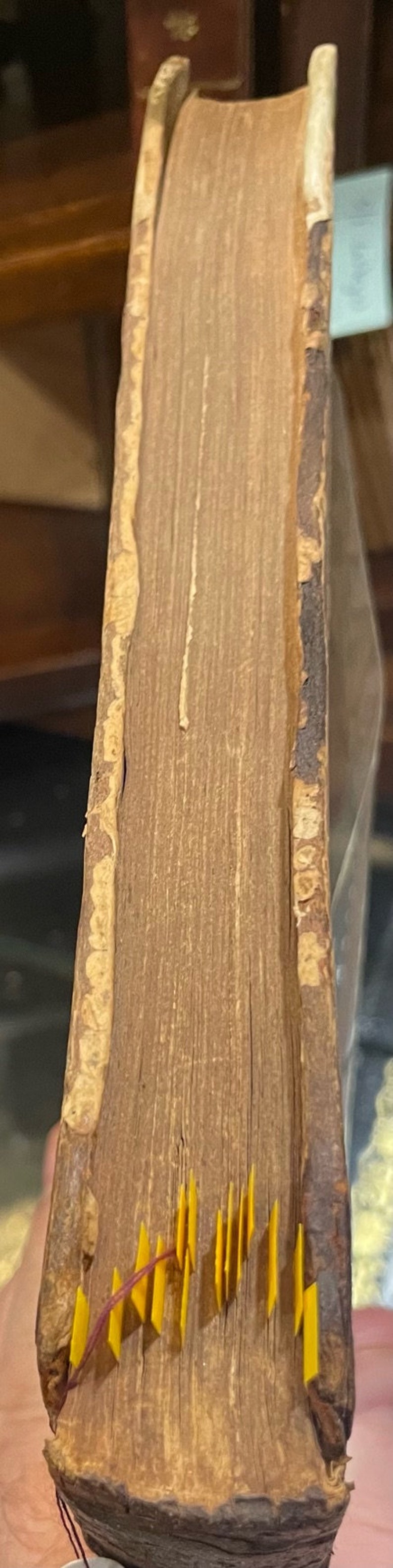 Newton, Astronomy Explained Upon Sir Isaac Newton's Principles, Made ...