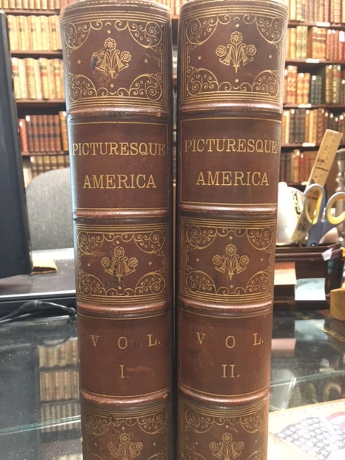 1872. Picturesque America Or the Land We Live In: A - Etsy