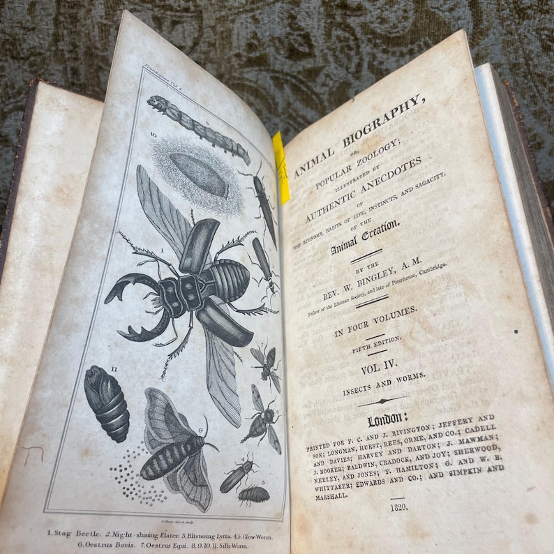 Animal Biography, Popular Zoology Vol III- Birds, Amphibious Animals ...