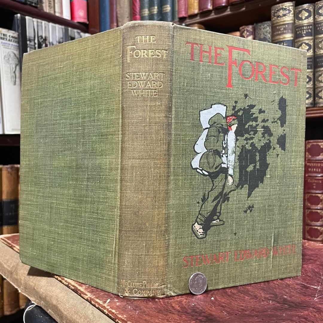 The Forest by Stewart Edward White Illustrated by Thomas Fogarty 1904 ...