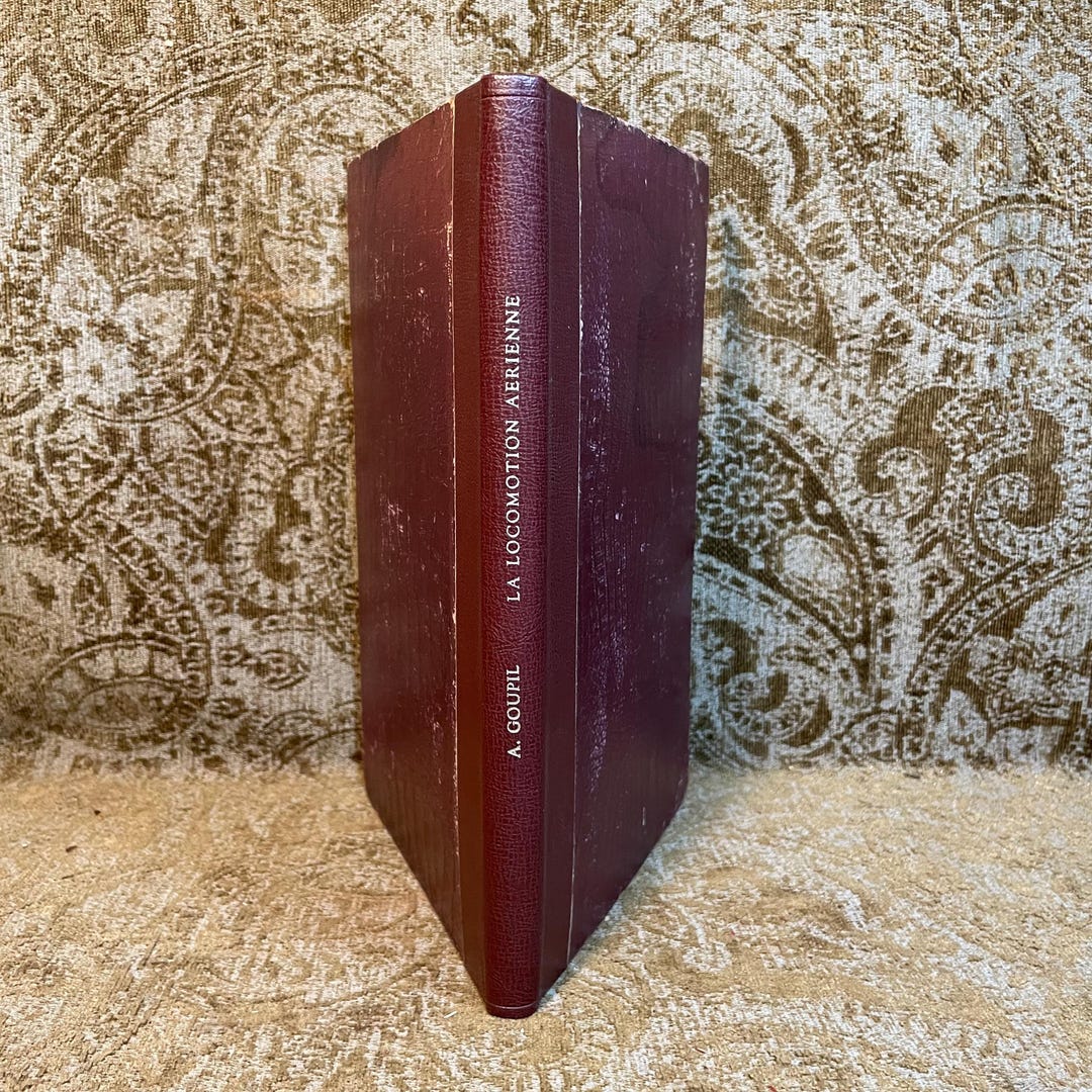 La Locomotion Aerienne Etude Translated Aerial Locomotion: A Study by A ...