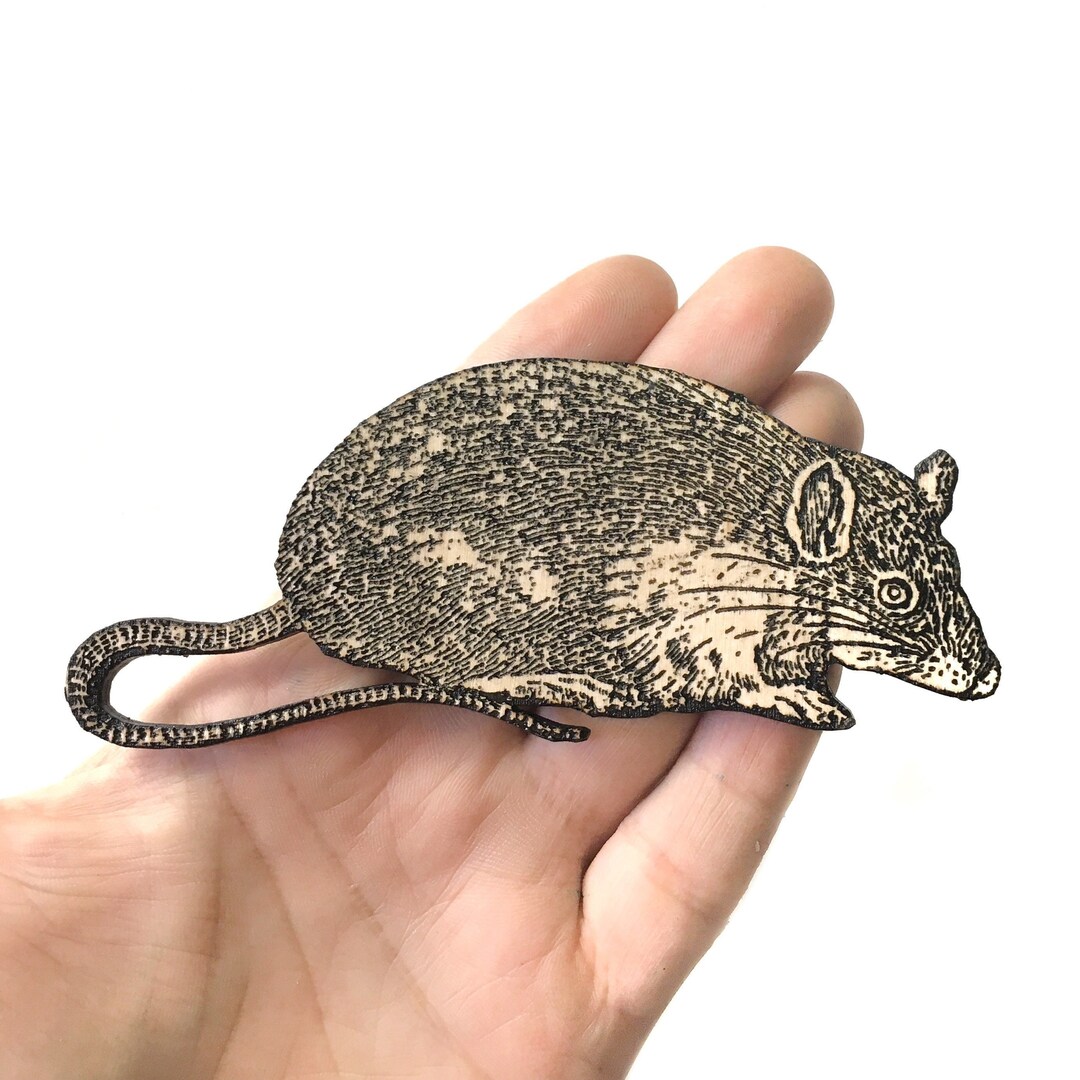 Rat Magnet Weird Art Magnets Fridge Rats Gift Antique - Etsy