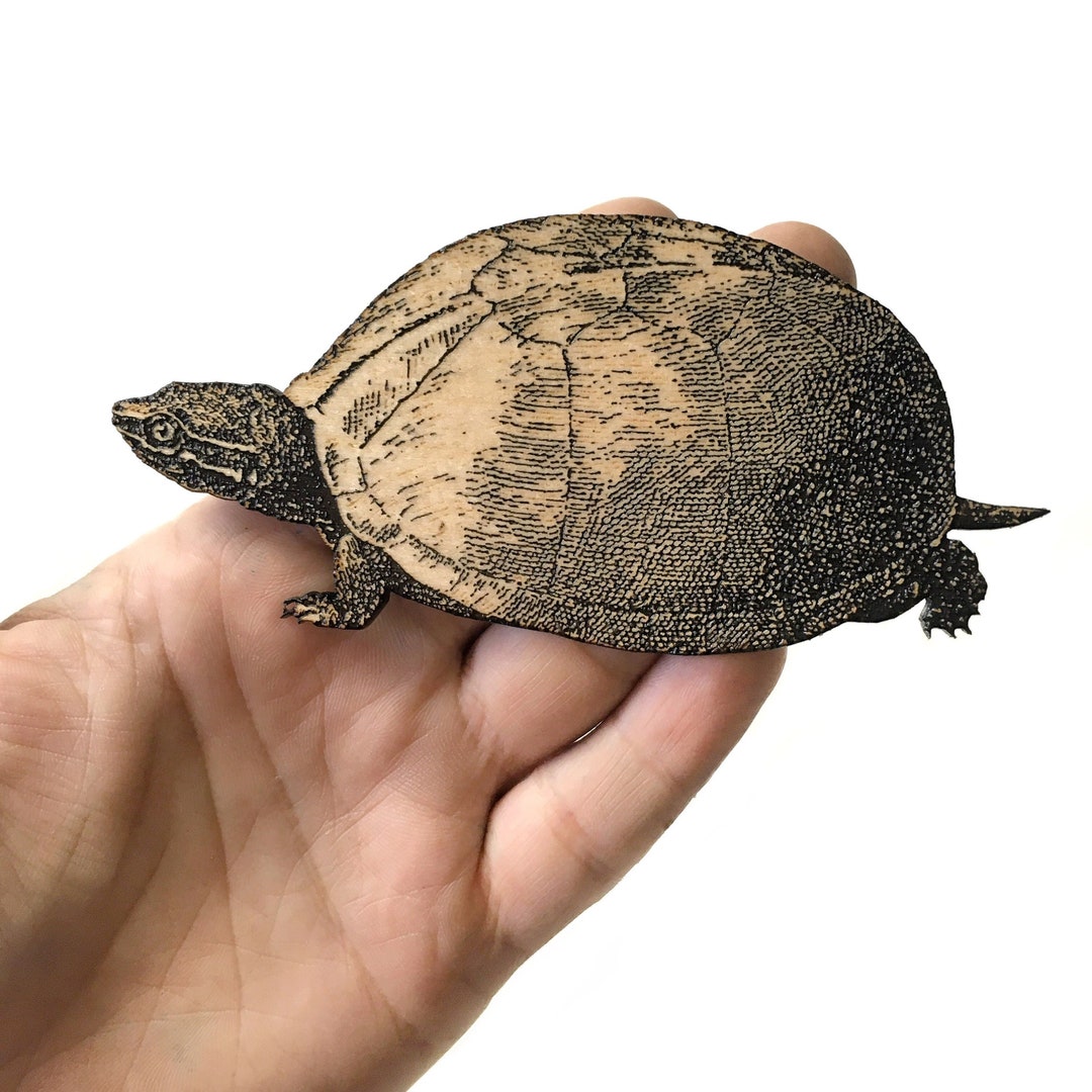 Turtle Magnet, Reptile Magnets Fridge, Tortoise Gift, Antique Turtle ...