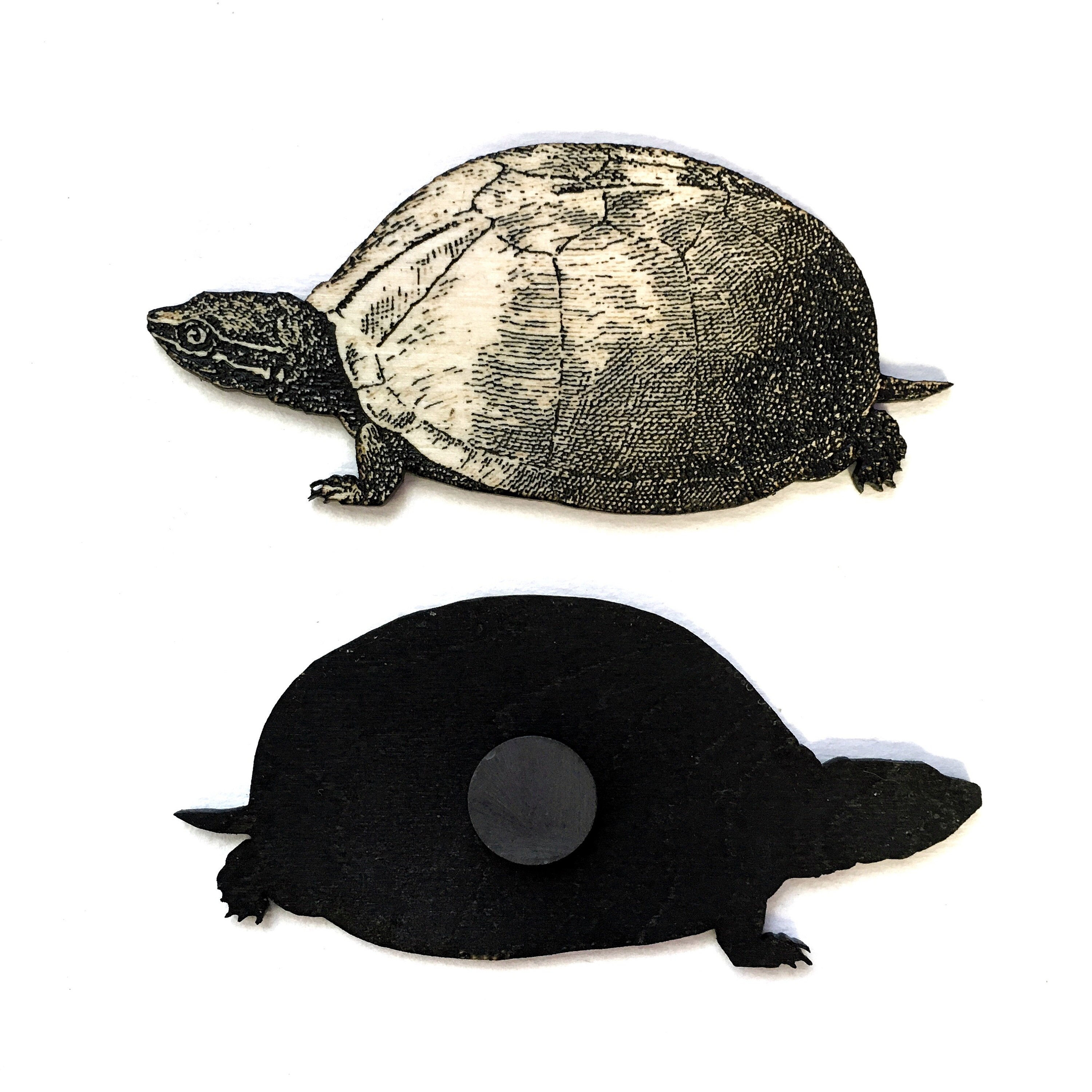 Turtle Magnet Reptile Magnets Fridge Tortoise Gift Antique | Etsy