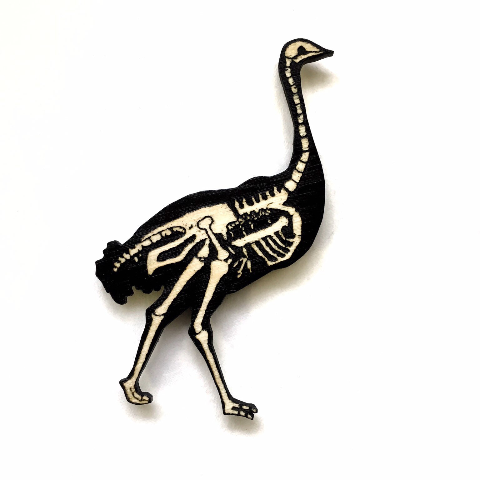 Skeleton Magnet Antique Ostrich Gift Bird Lover Gift - Etsy
