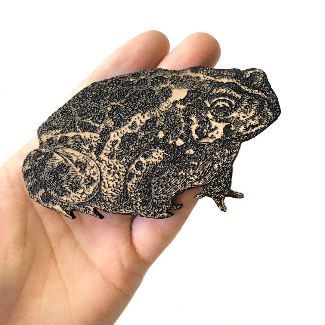 Toad Magnet, Frog Magnets Fridge, Frogs Gift, Antique Toads, Vintage ...